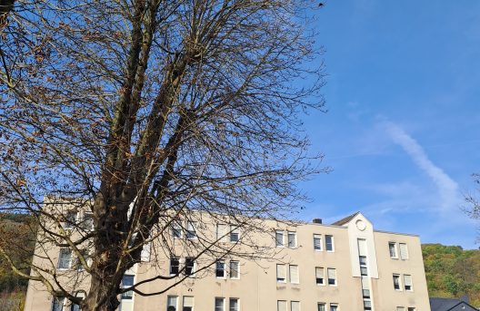 Wohnanlagen - gbt Trier